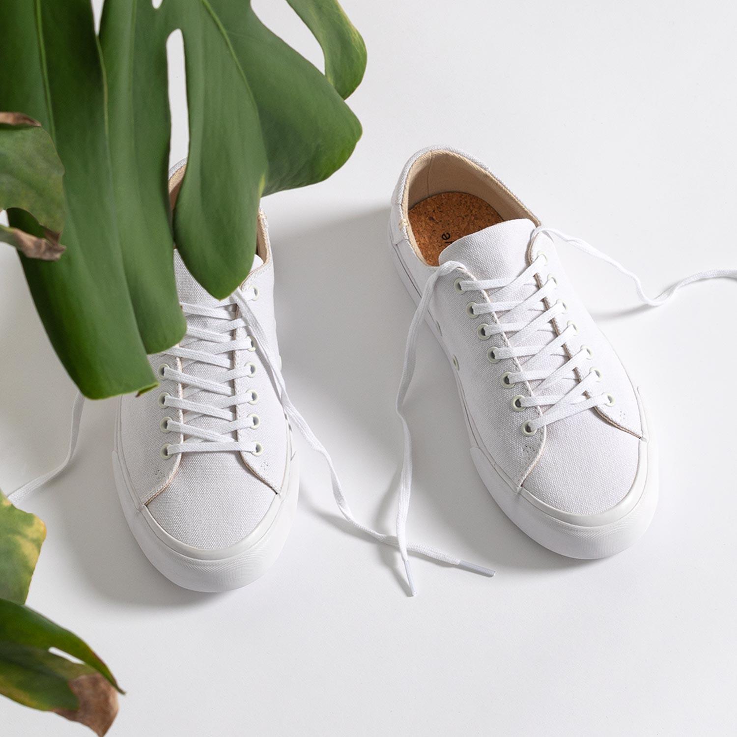 Baan – Collective Canvas